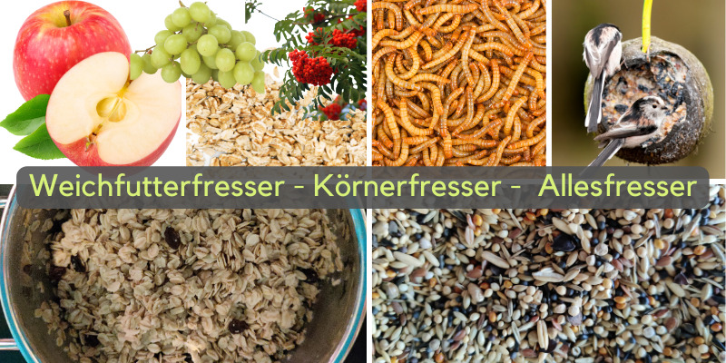 Weichfutter- & Körnerfresser - Mein Nasch-Balkon